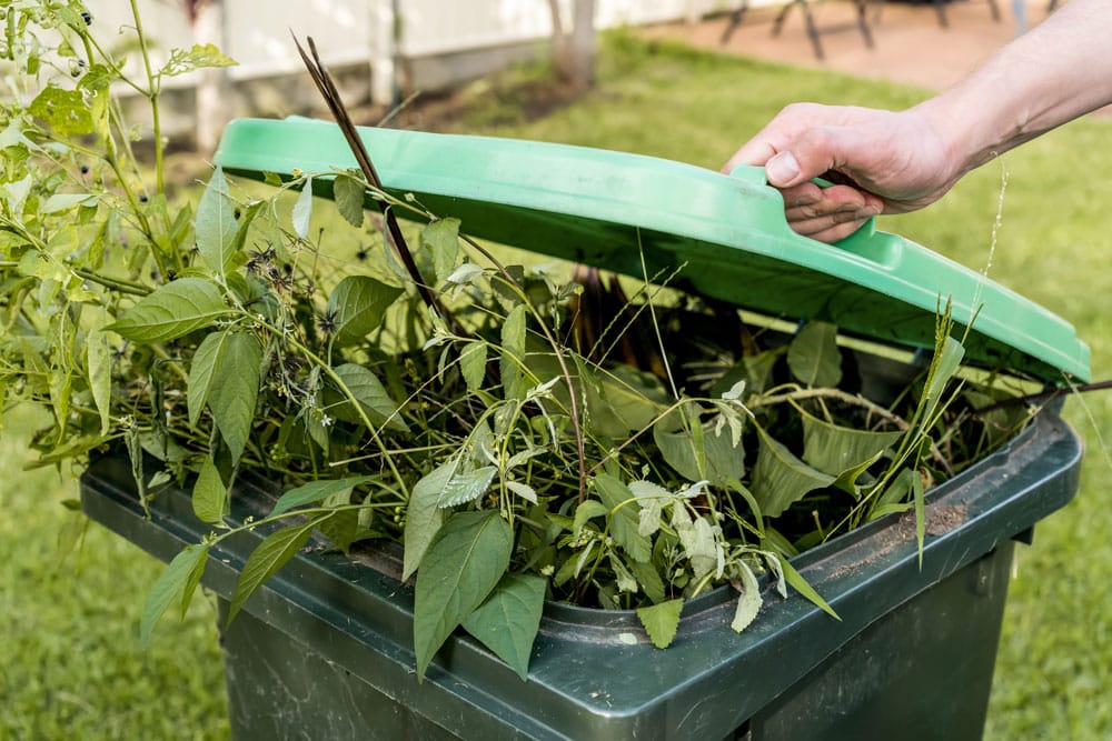 Green Waste Collection Mackay & Whitsundays | Residential Green Waste Bins